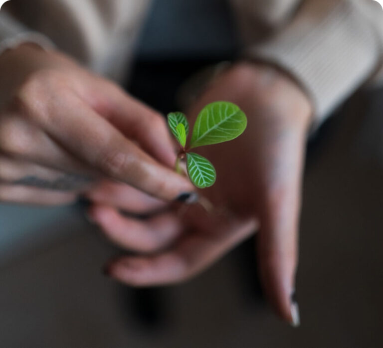 Home - Coherent Solutions